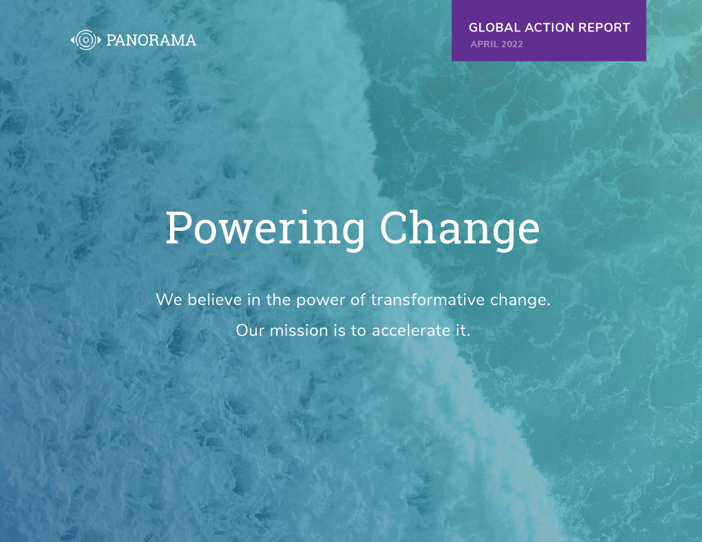 Panorama - Global Action Report - Zerflin